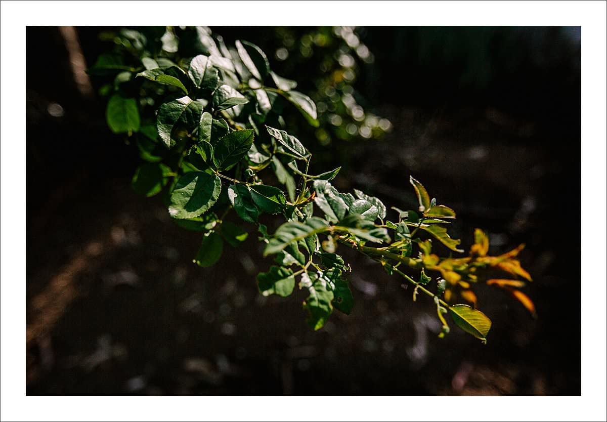 luxury-wedding-spain-marbella-destnation-planning